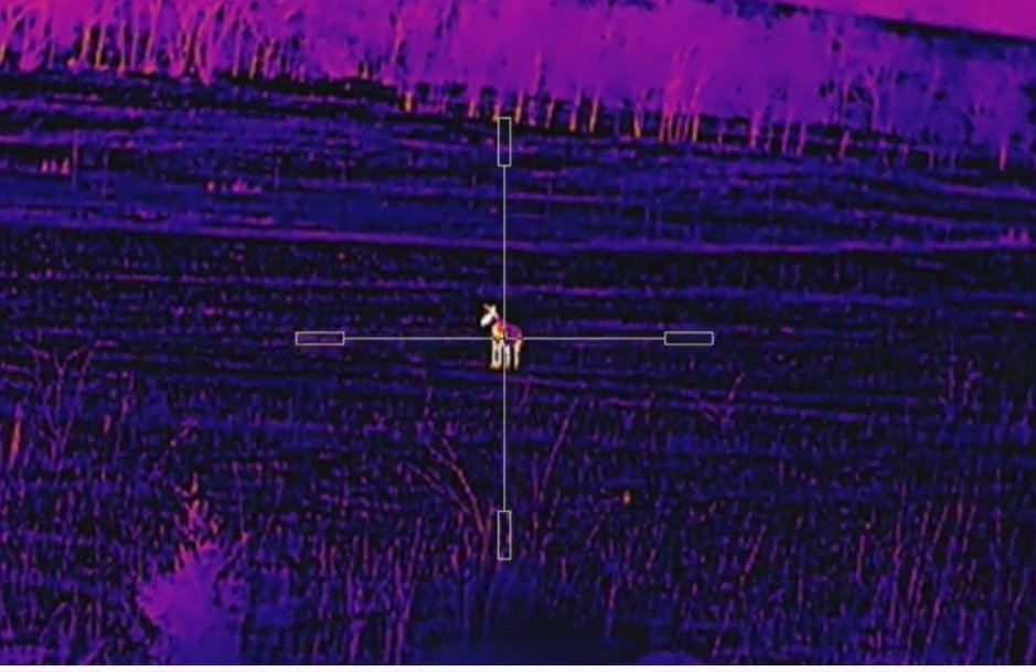 Thermal Predator hunting