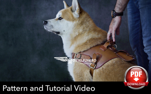 Dog Harness Pattern -Leather Harness with Pocket DIY - Pdf Download ...