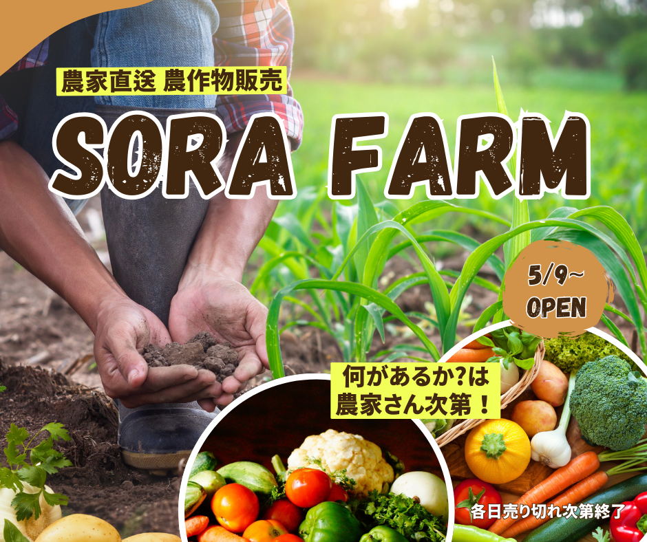 SORA FARM始まります！