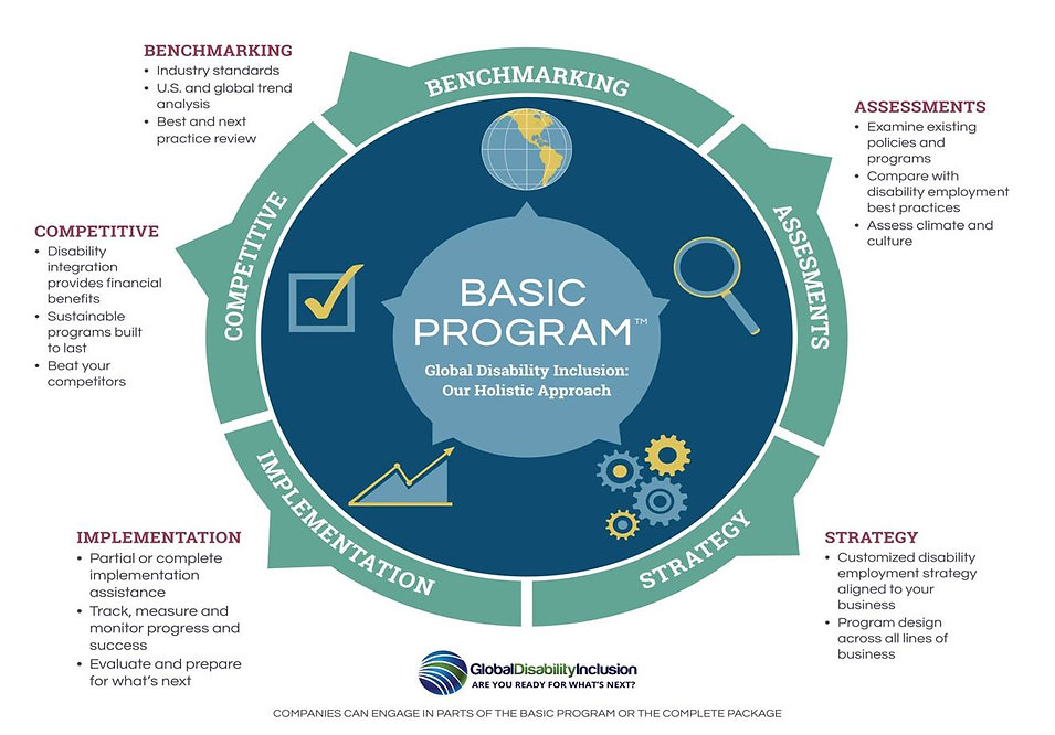 Services | Global Disability Inclusion