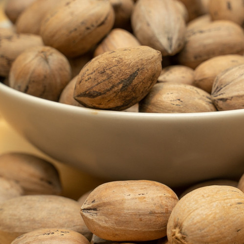 40lb - In-Shell Pecans | Delta Pecan Co.