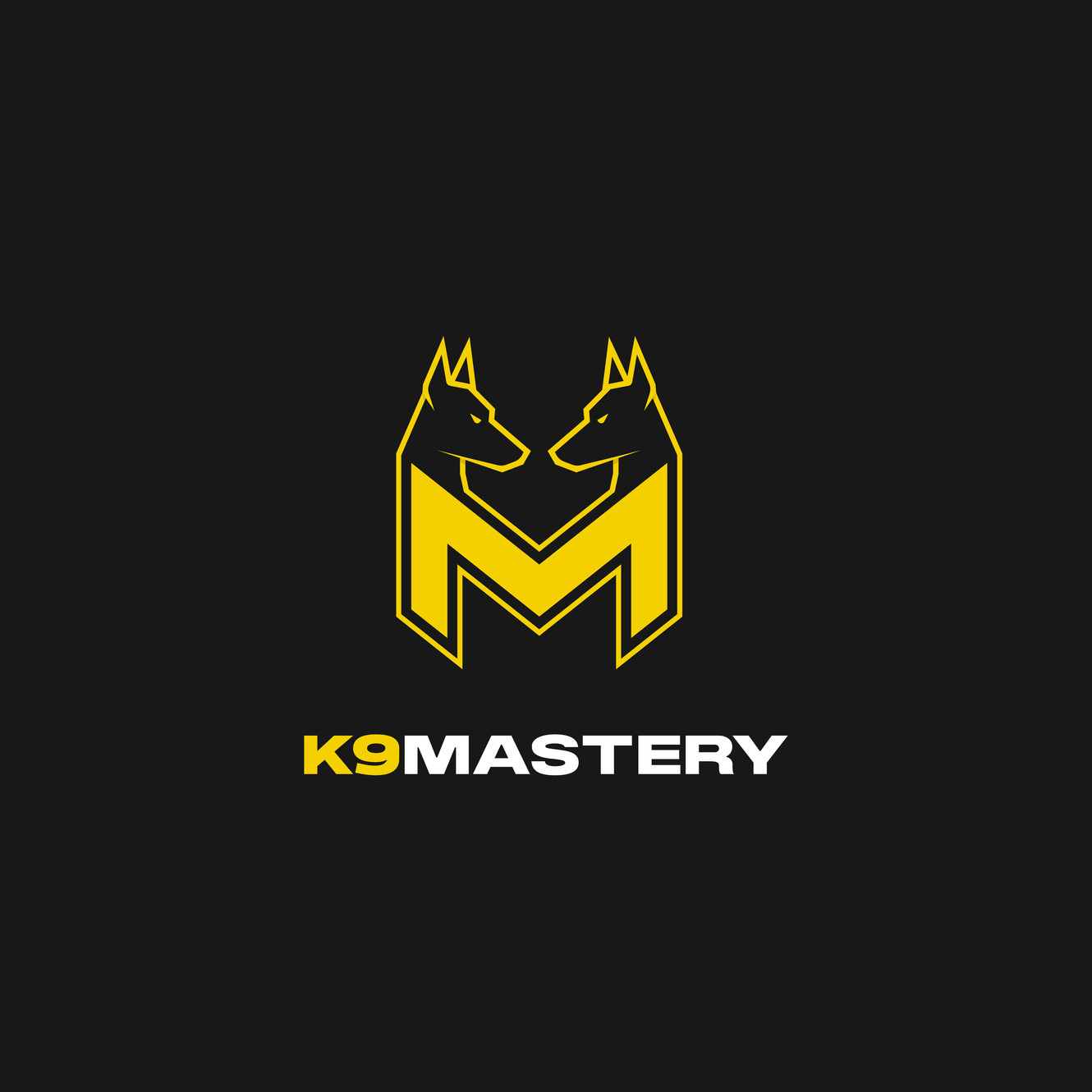 K9 Mastery LLC Dog Training