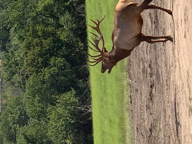 Gallery | Covered Bridge Venue