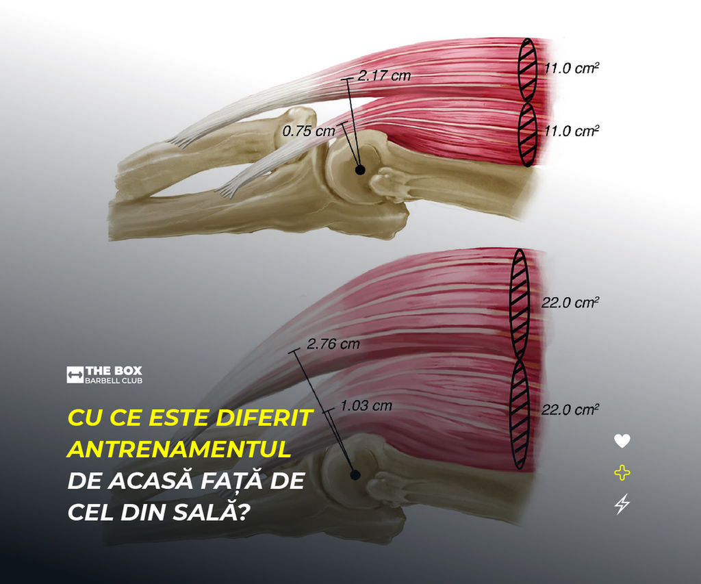 4 exercitii unilaterale esentiale pentru buna functionare a partii ...