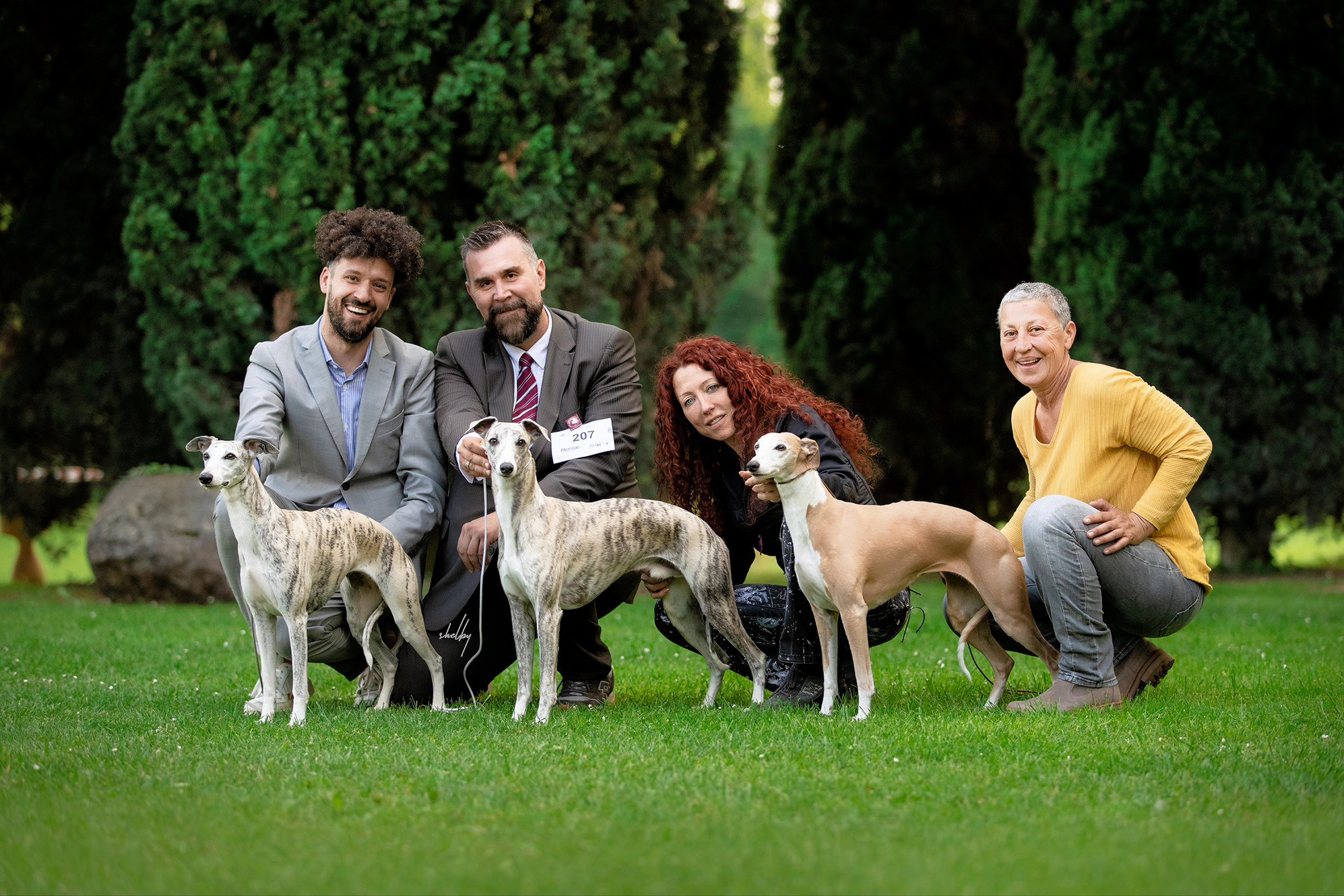 Majestrian Whippets