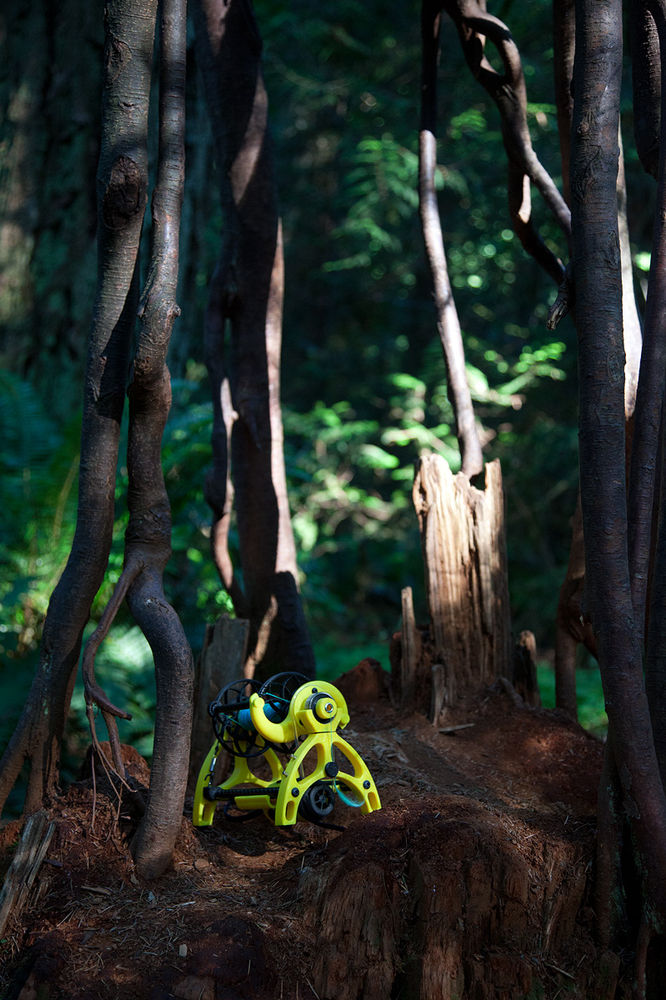 Tweety's Weekend Getaway with Evanita