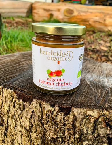 Organic Autumn Chutney (200g) | Middle Ground