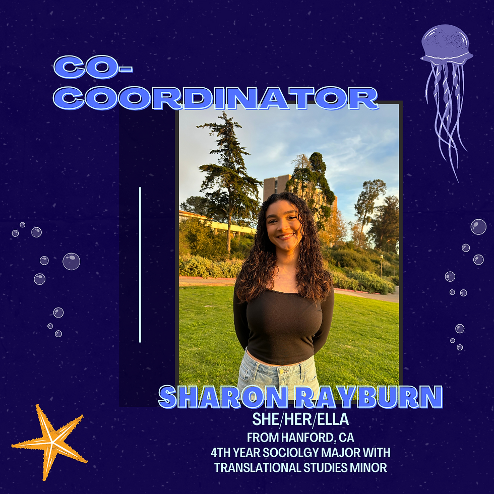 Meet the Board | HaU M.E.N.T.O.R.