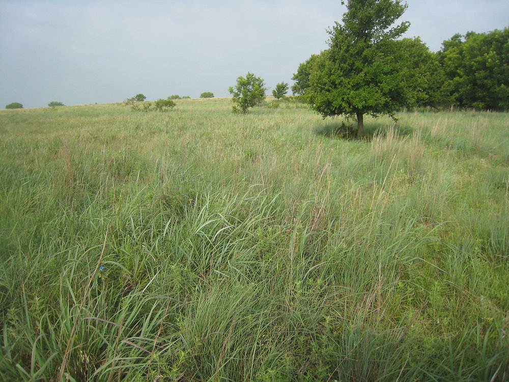The Proposed Lake Ringgold Is Not Needed