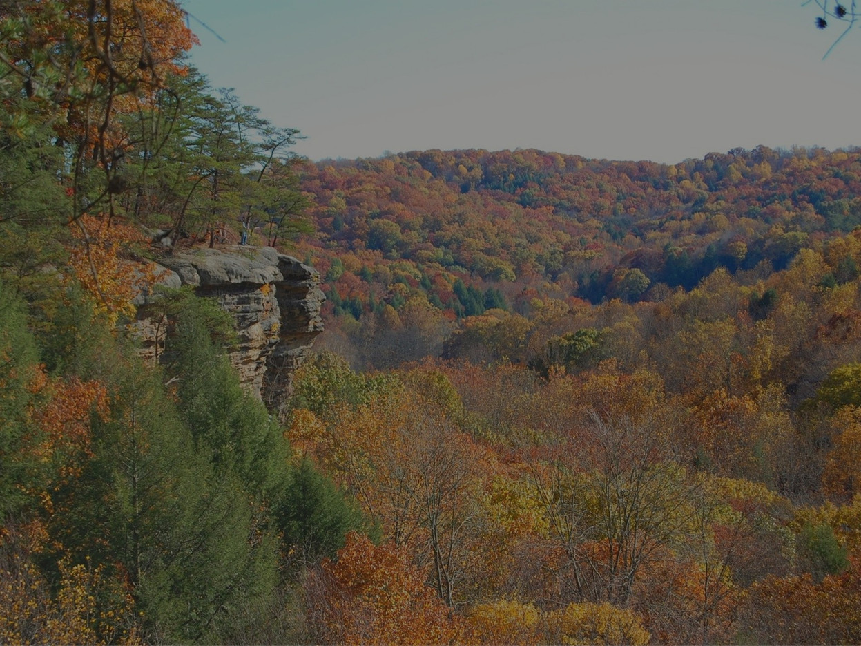 Hocking Hills Cabins | Colonel's Quarters | United States