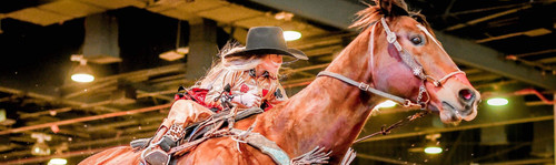 Rodeo Shirts | Betty Brand