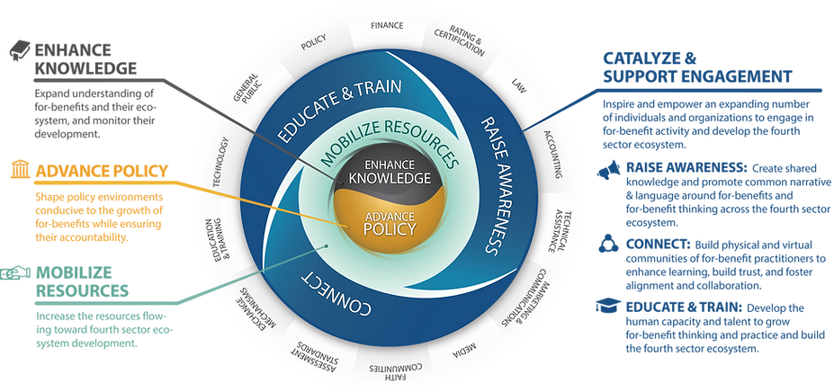 Fourth Sector Group - Rationale and Strategy