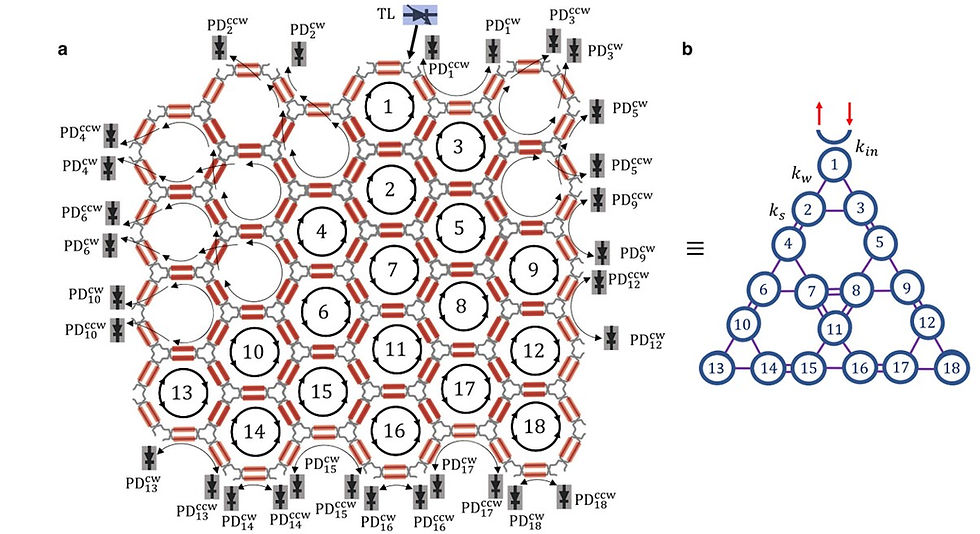 Topological Photonics on a Programmable Integrated Photonics Platform