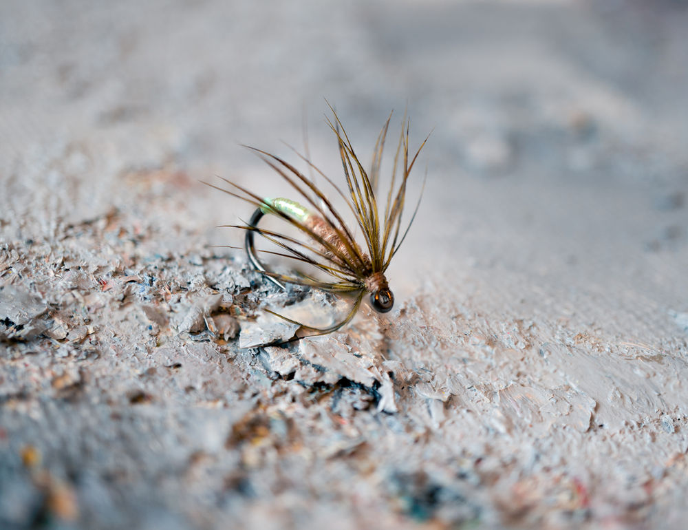 A Guide to Chicken Feathers Used for Fly Tying