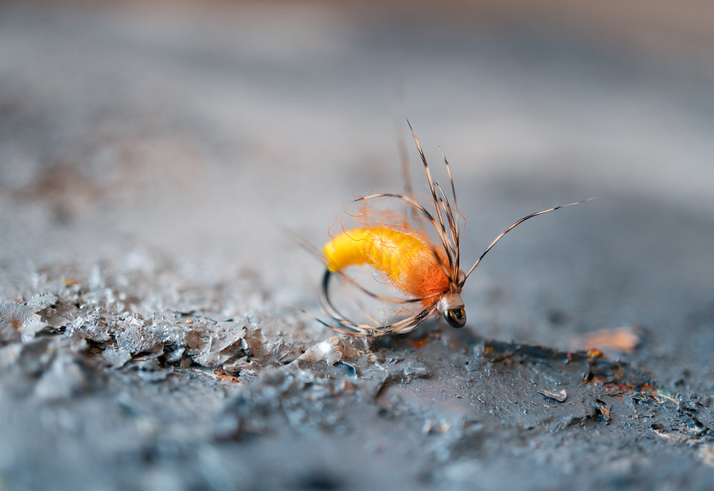A Guide to Feathers Used in Fly Tying