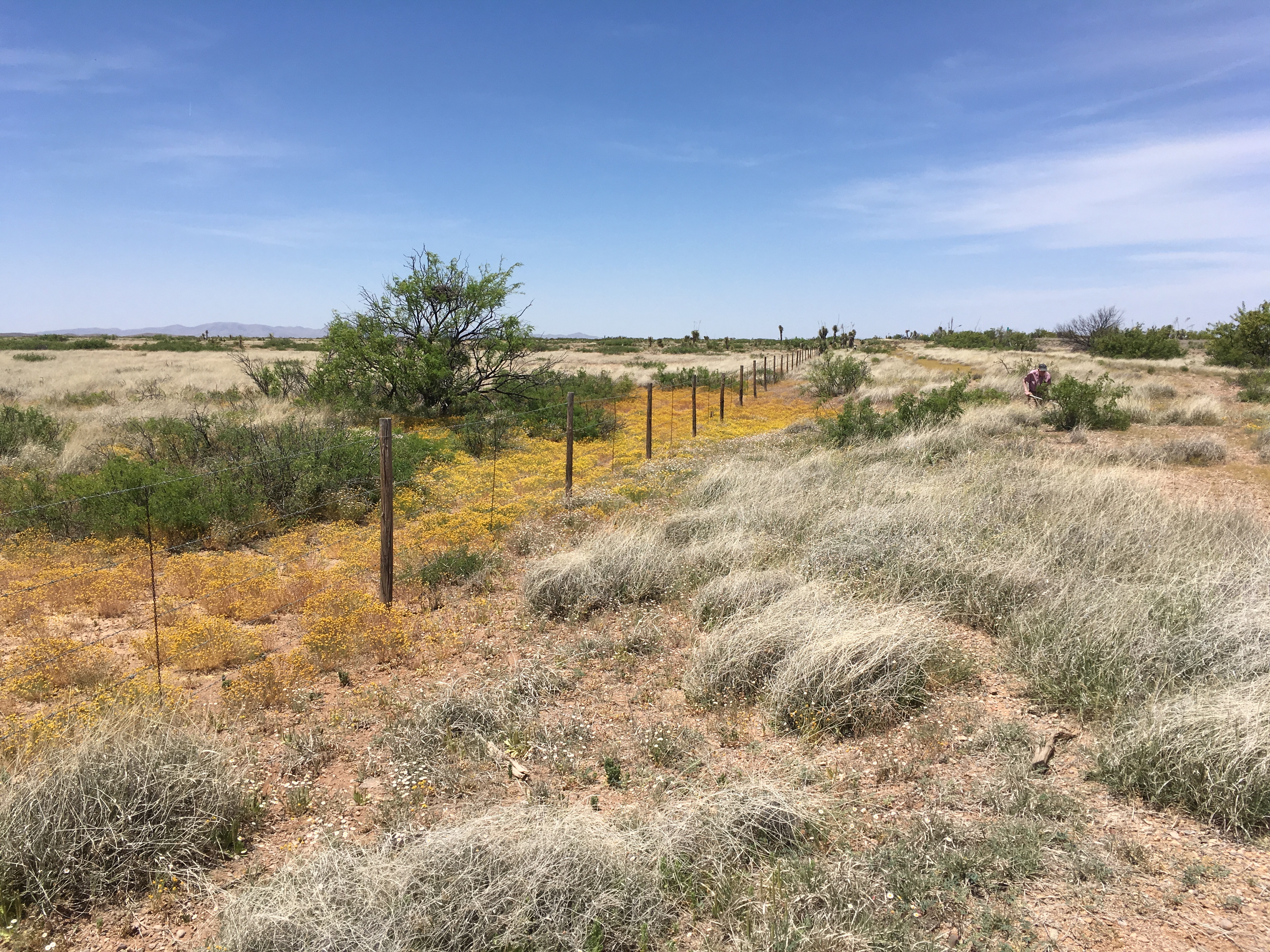 Bee Course 2020 | SWRS | The Bee Course