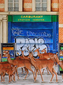 Corine Perier - Artiste Animalier Surréaliste