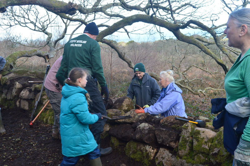 Cornish hedging project update
