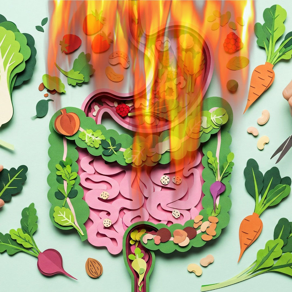 AGNI ou LE FEU DIGESTIF