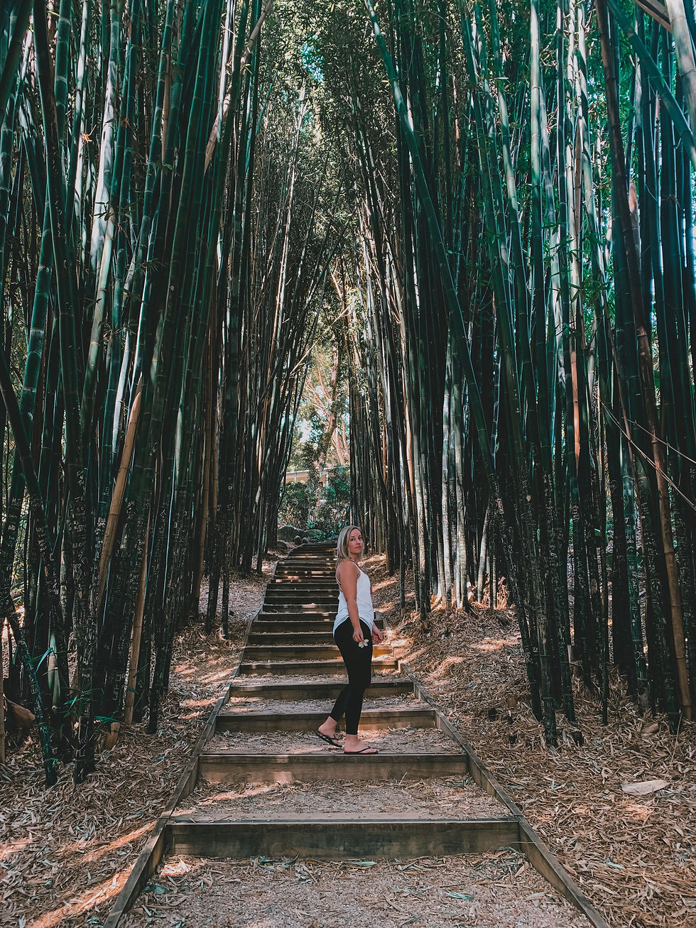 Crystal Castle Byron Bay