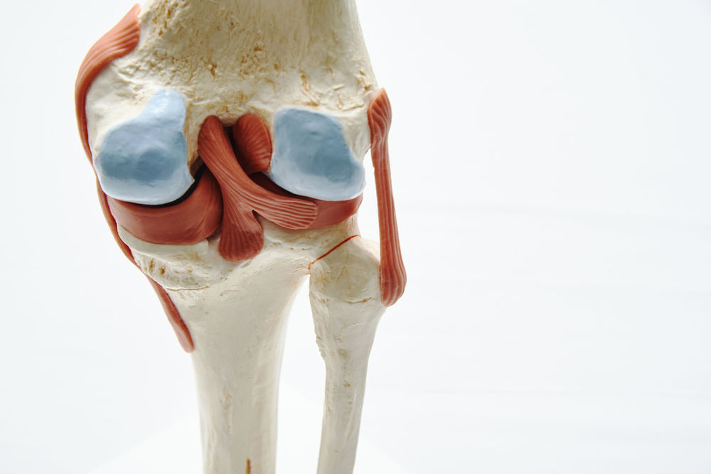 What are MCL Injuries?