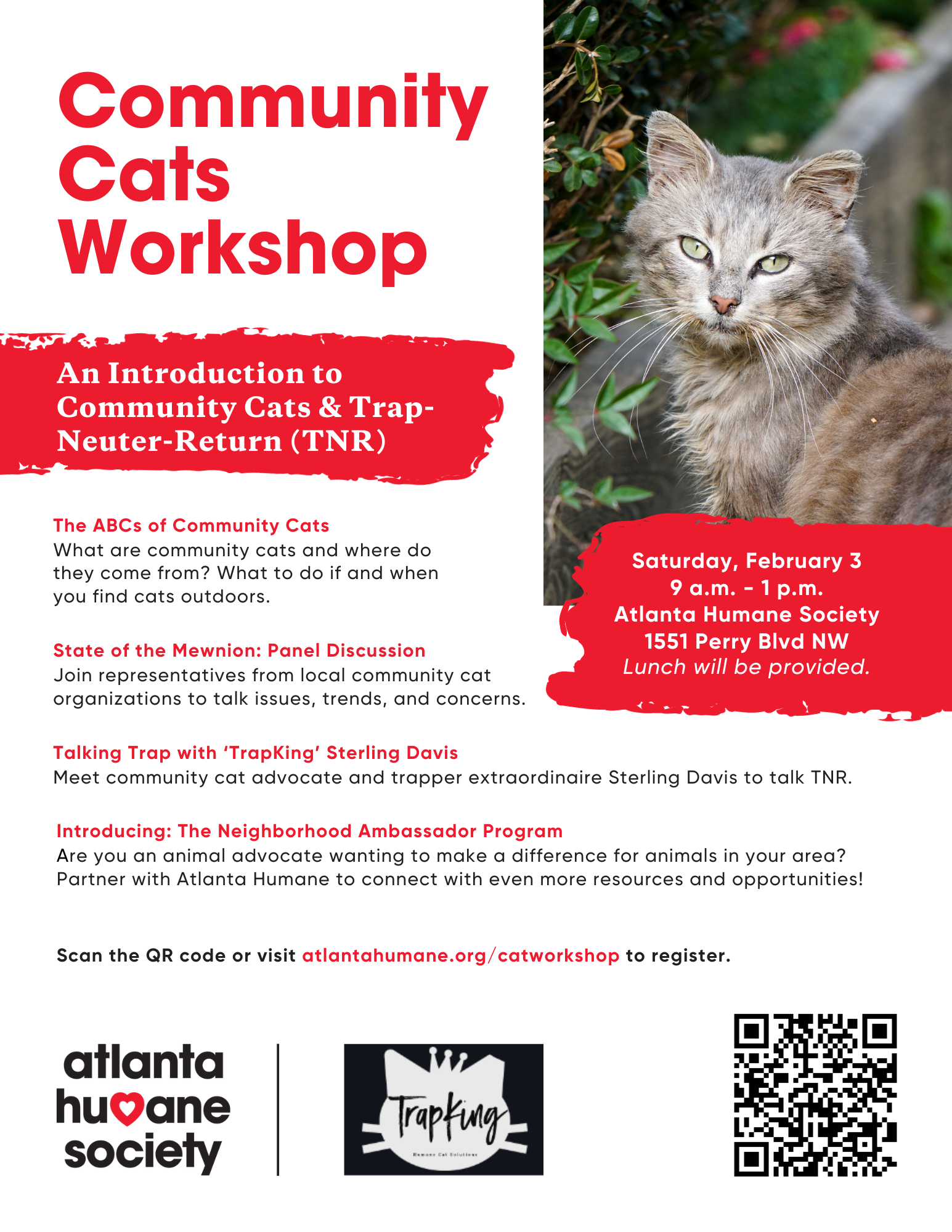 Community Cat Workshop