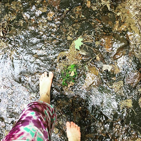 Wild Wisdom Ways with Sara Goff, sacred women’s spaces, yoga, doula ...