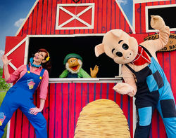 Fairs & Festivals | Kiddle Karoo