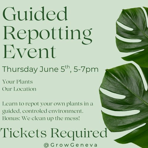 Guided Repotting Event 6/5 | Grow Geneva