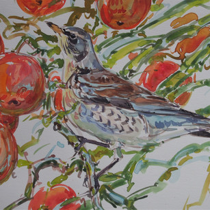 HOME | David Bennett Wildlife Artist