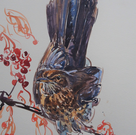 HOME | David Bennett Wildlife Artist
