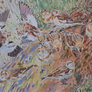 HOME | David Bennett Wildlife Artist
