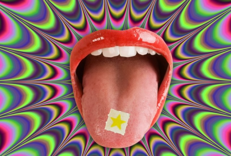 Microdosing with LSD Versus Psilocybin | Microdosers