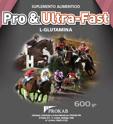 Pro & Ultra-Fast | Prokab
