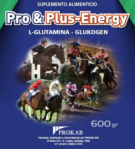 Pro & Plus-Energy | Prokab