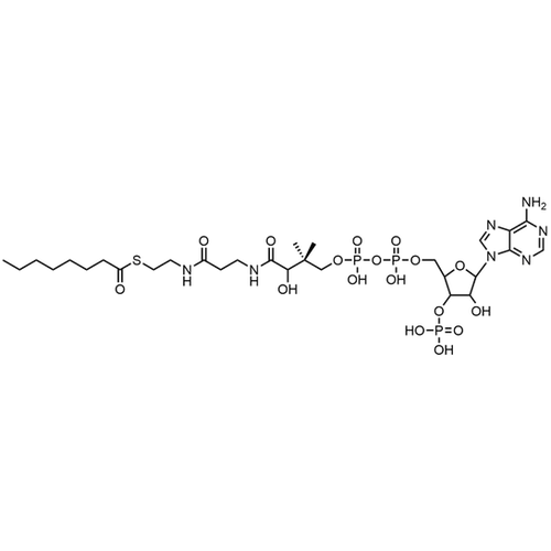 Octanoyl Coenzyme A, Free acid | CAS 1264-52-4