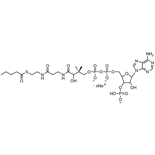 Valeryl Coenzyme A, Sodium salt | Coenza