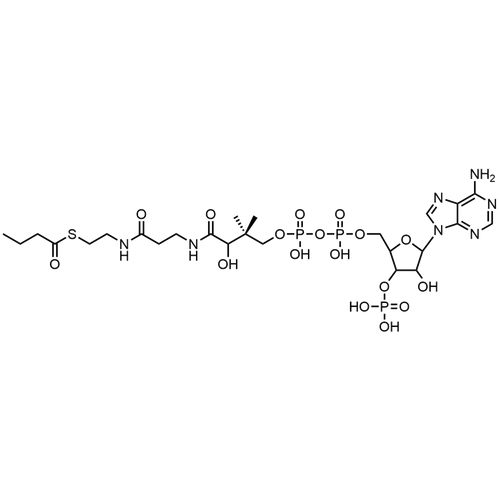 Butyryl Coenzyme A, Free acid | CAS 2140-48-9