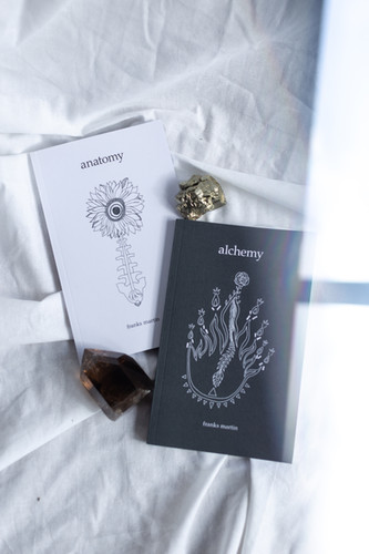 alchemy & anatomy | Franks Martin