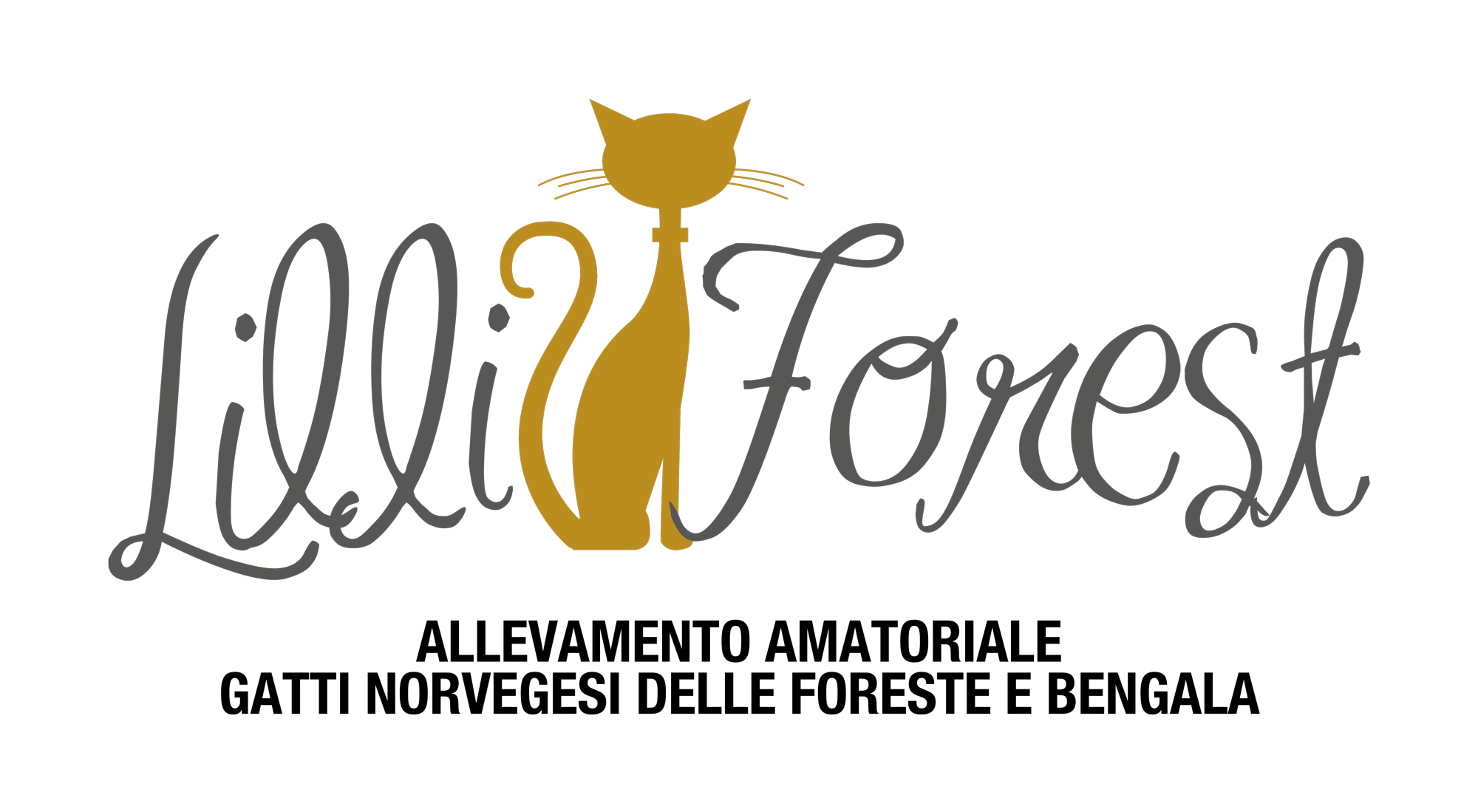 Lilli Forest | Allevamento gatti norvegesi e bengala | Piacenza