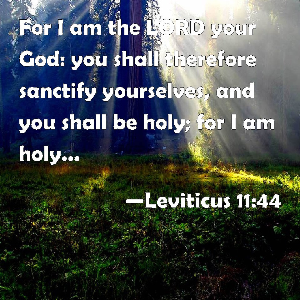 Be Ye Holy: Sanctification in Leviticus