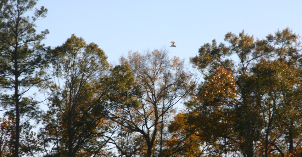 Rv Park | Calhoun Hills At 103 Rv Park | Calhoun