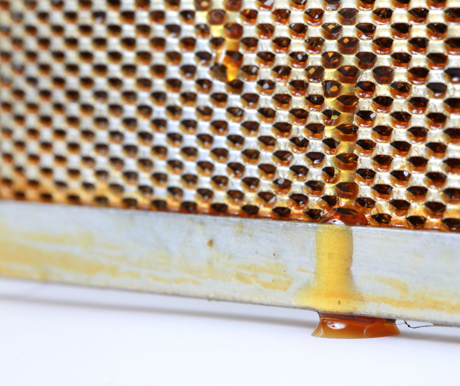 How to Clean Grease Off Kitchen Walls: Quick & Effective Methods for a ...