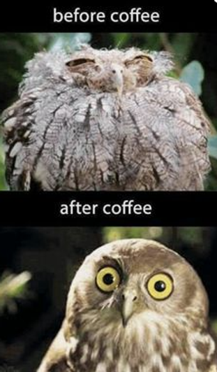 how to draw an owl joke