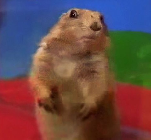 Top Ten Early Internet Memes That Kickstarted Online Madness