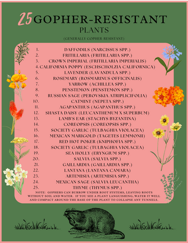 25 Gopher-Resistant Plants | This Steep Hillside