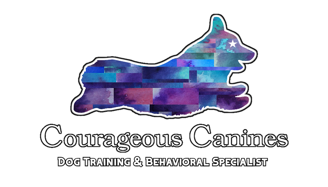 Courageous Canines Dog Training | Central New Jersey | Southeast ...