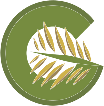 Rice Retailer And Wholesaler Philippines | Goddess Rice Center PH