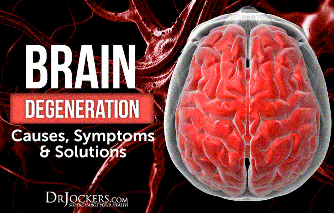 What is Brain Degeneration?