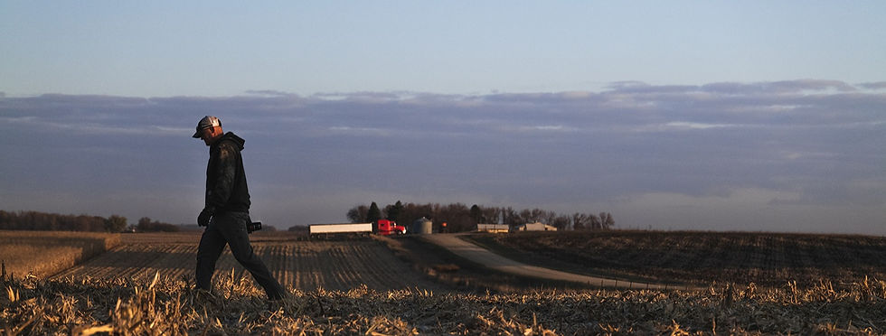 About Us | Feikema Farms